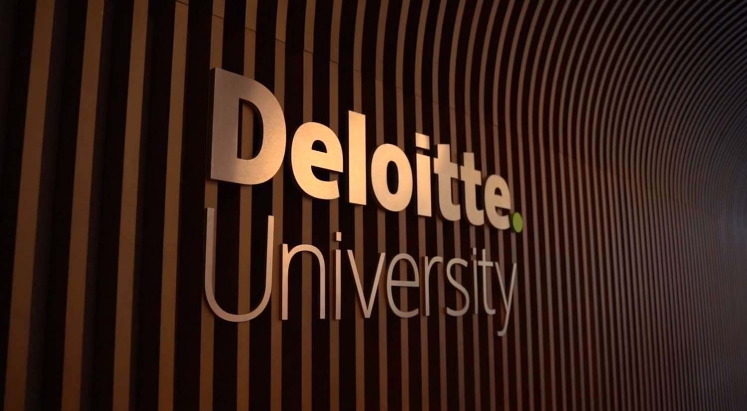 Newmarket Videographer & Video Content Production